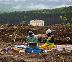 Environmental – ECC